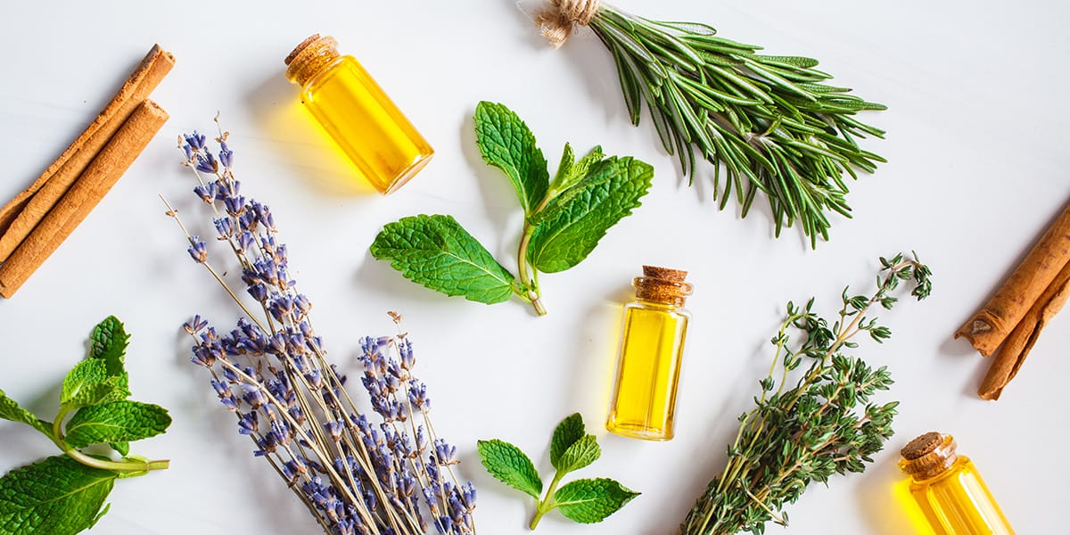 What Are Essential Oils? - Nawsun Essential Oils 101